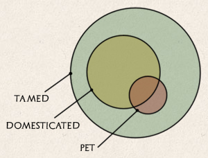 The Weasel in Antiquity: Pet or Pest? – Found in Antiquity