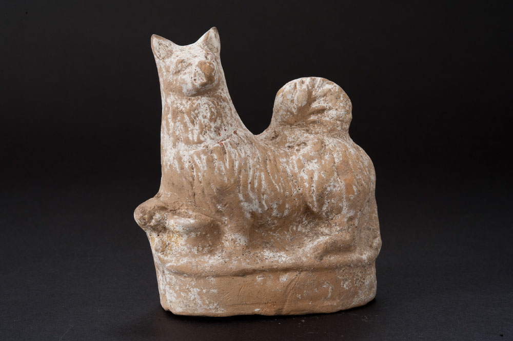 The Melitan Miniature Dog: The most popular lapdog in antiquity – Found ...